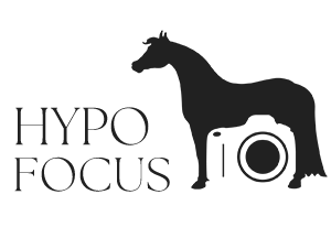 2023-HypoFocus-Seasons-text-212121-klein | Hypo Focus Paardenfotografie